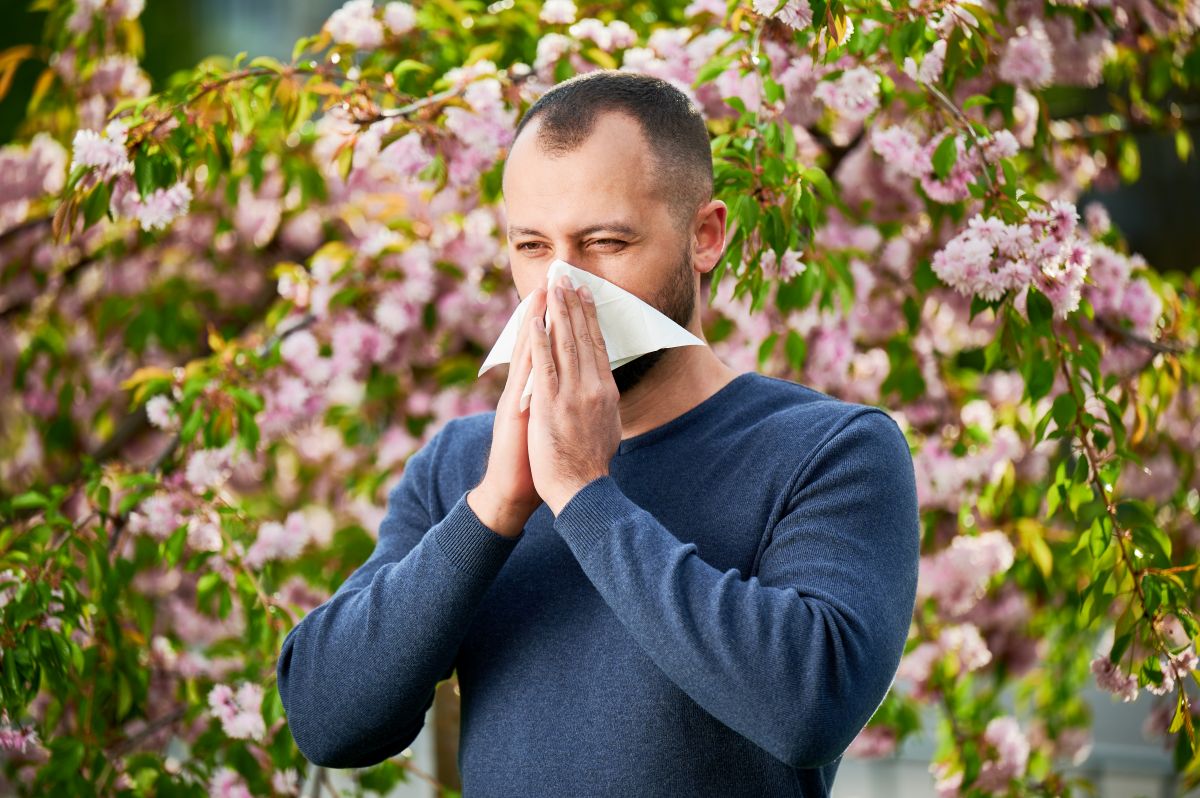 Understanding Nasal Allergies: Symptoms, Triggers & Relief - My Pharmacy